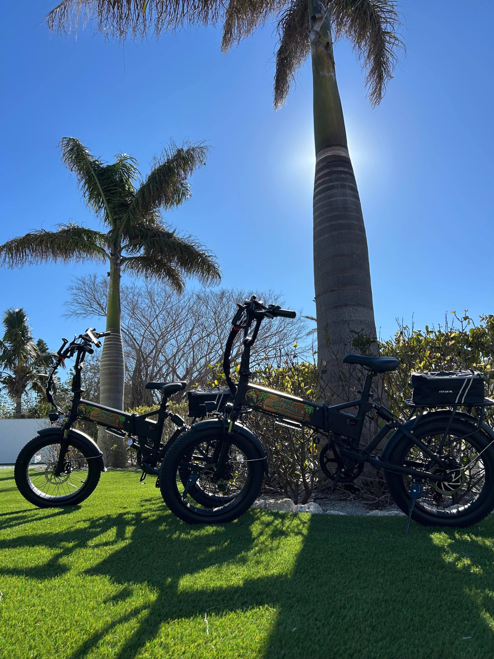 Pedal Your Way Through Beautiful Anna Maria Island - izzy-living.com